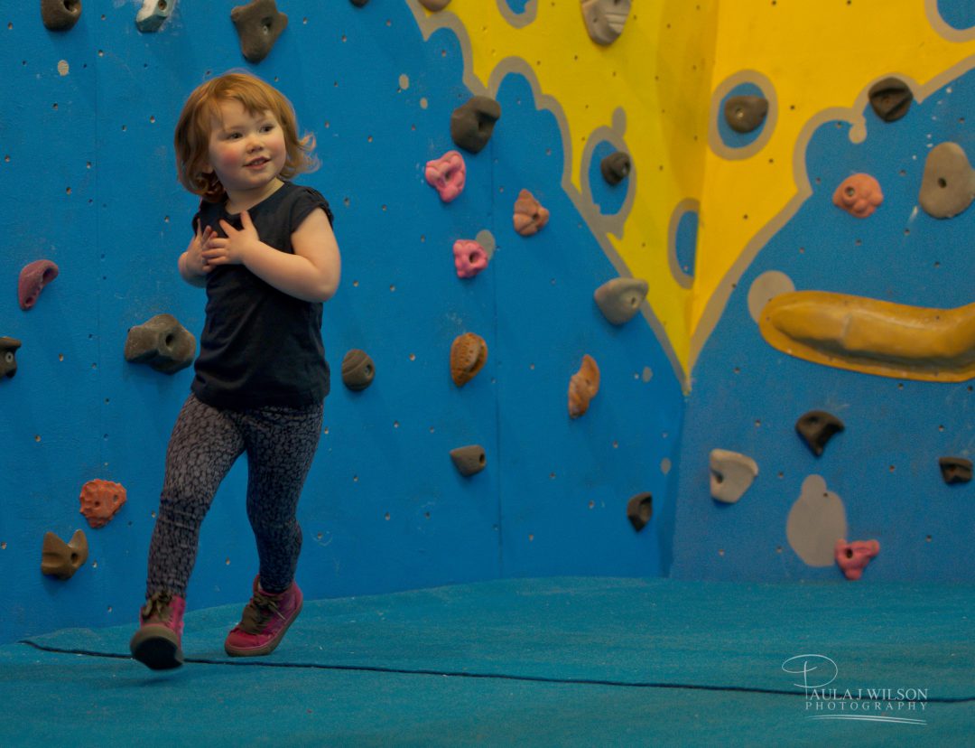 Sunderland Wall – Gecko’s March 15-28 | Sunderland Wall